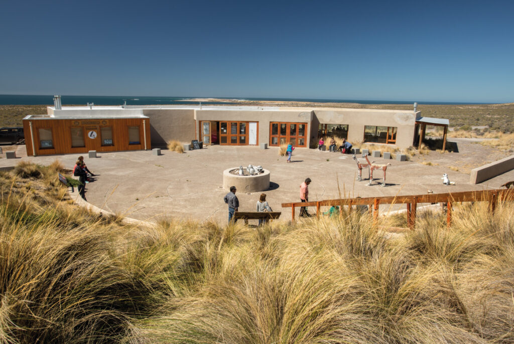 Punta Tombo » Argentina Visión